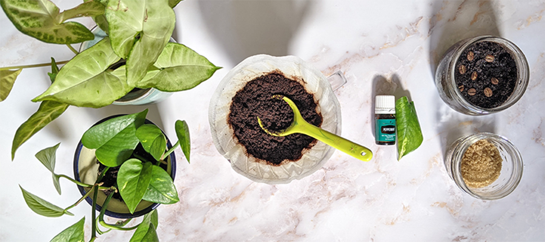 Reuse and Recycle your coffee grounds – Kaveri Coffee