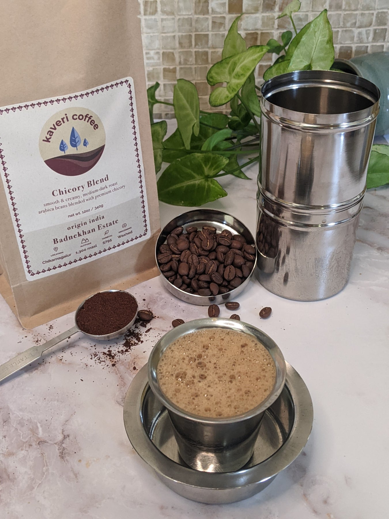 BLEND | Chicory Coffee | Medium-Dark Roast – Kaveri Coffee